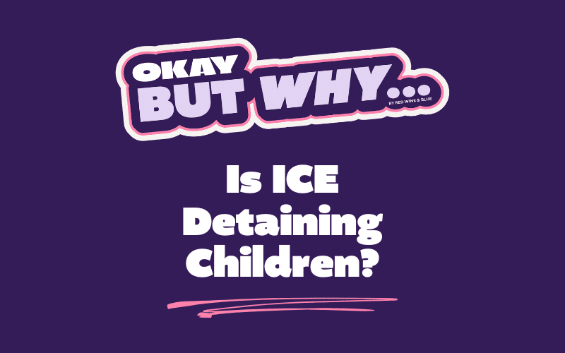 Okay, But Why Is ICE Detaining Children? - Red Wine and Blue